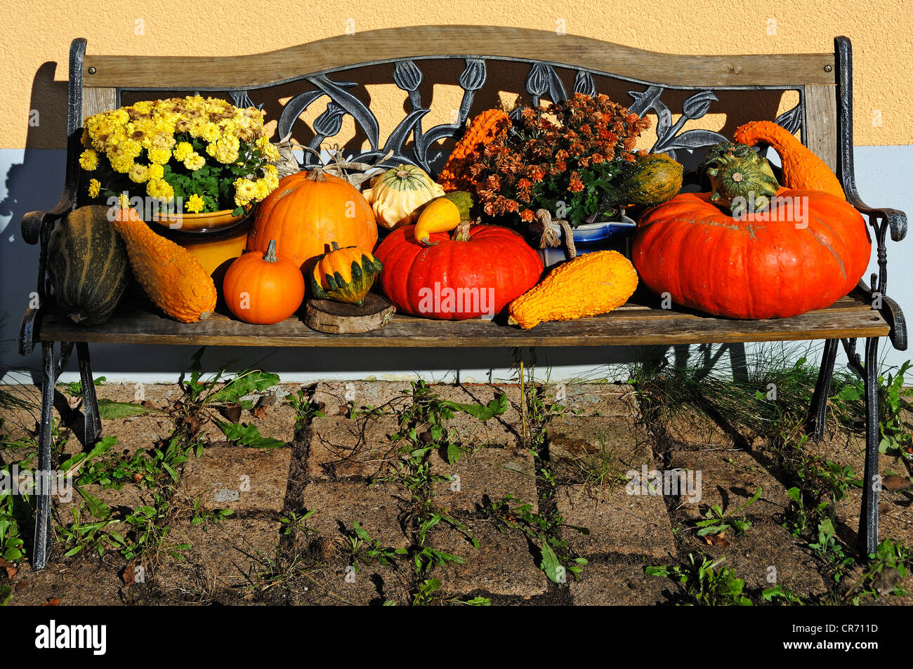 Coloured gourds hi-res stock photography and images - Alamy