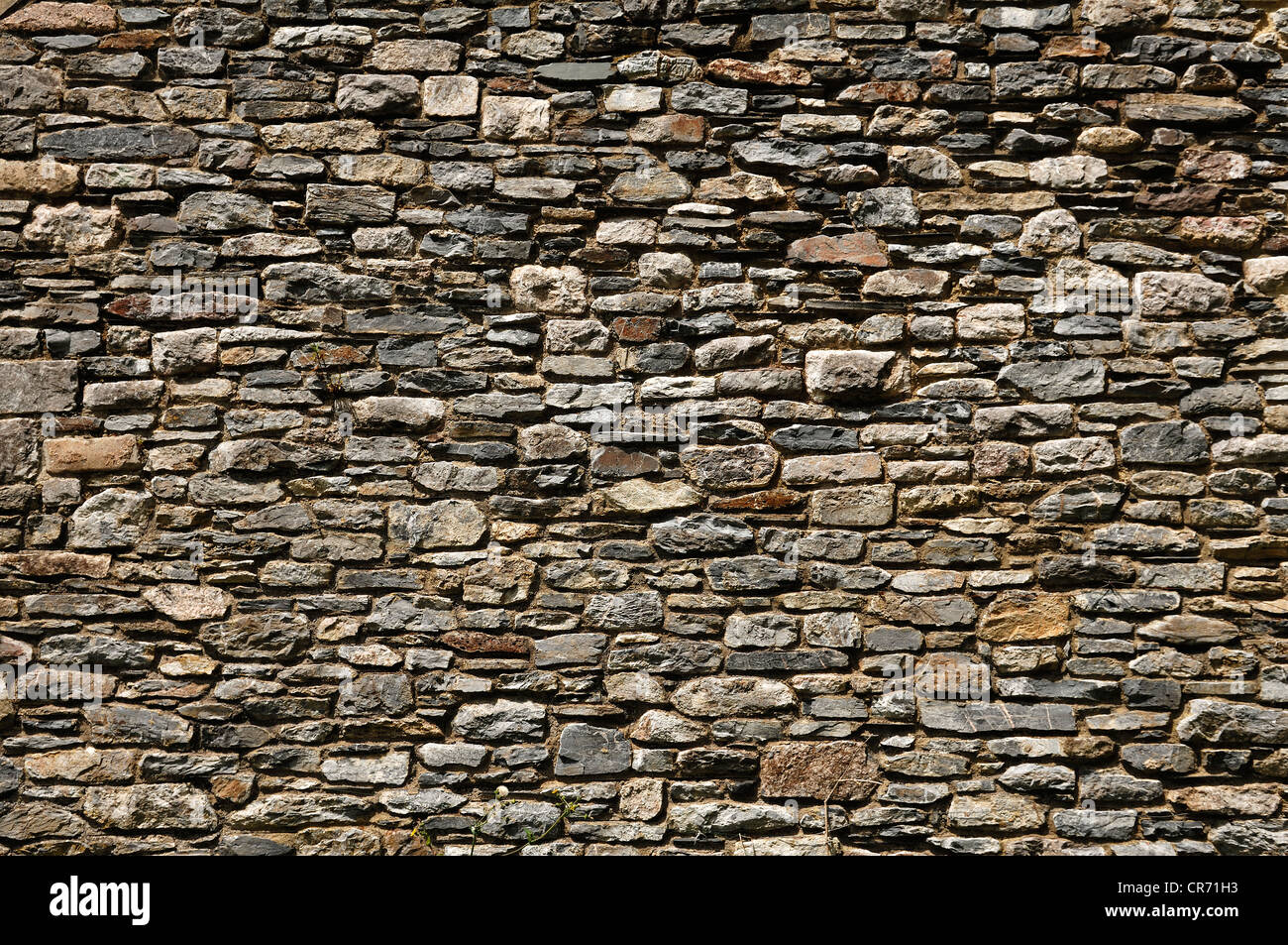 Natural stone wall, Devon, England, United Kingdom, Europe Stock Photo ...