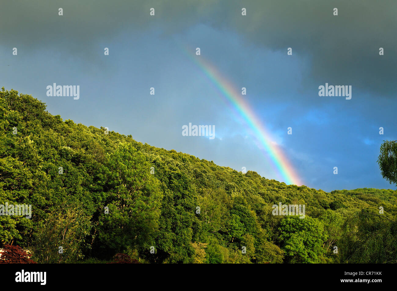 Lifton devon hi-res stock photography and images - Alamy