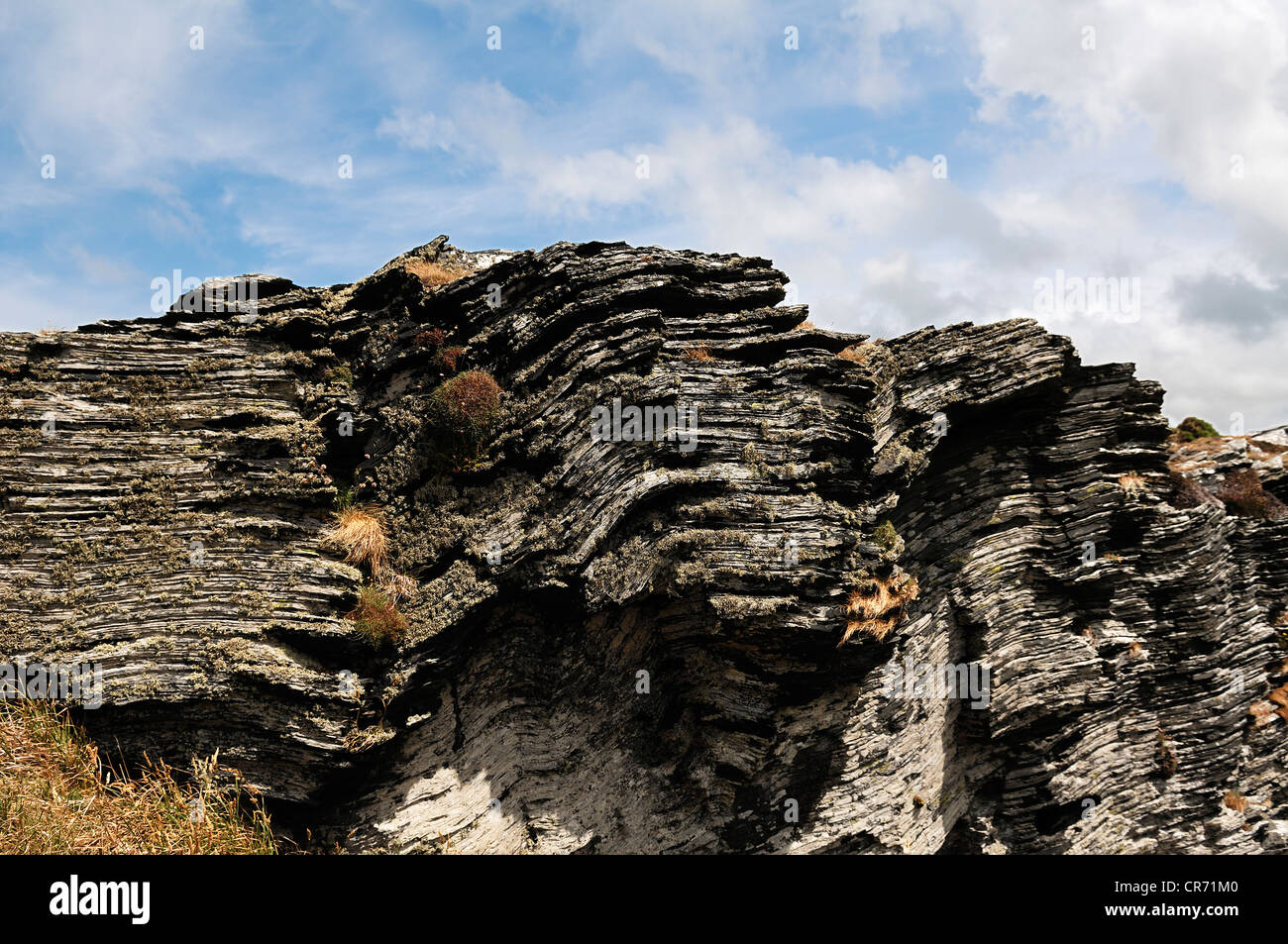 Slate rock formation on the coast of Cornwall near Boscastle, Cornwall ...