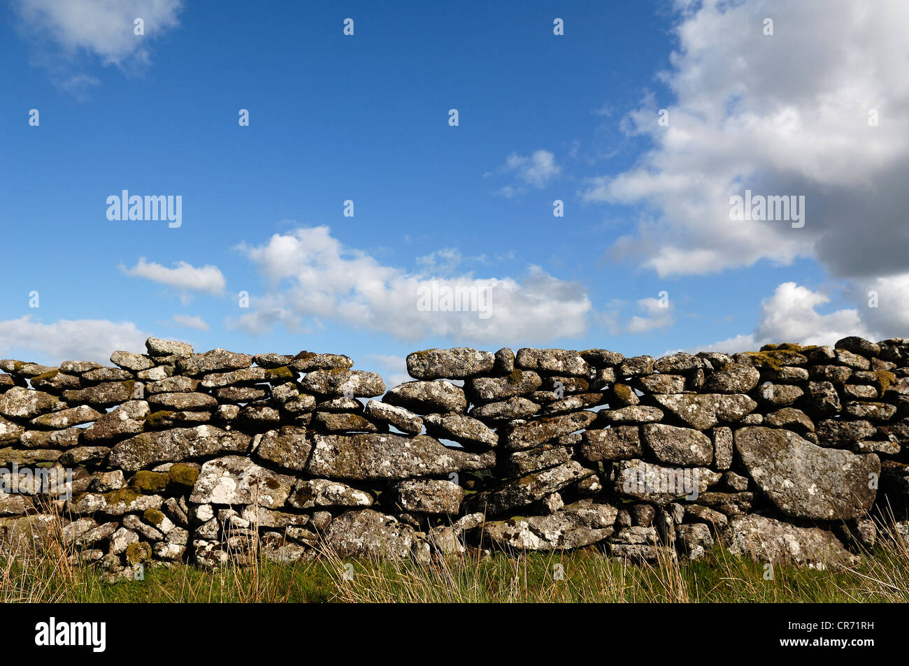 Devon dry stone walls hi-res stock photography and images - Alamy