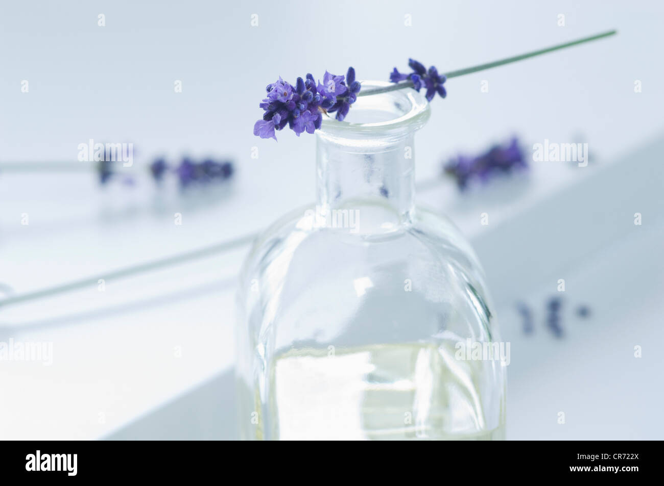 Lavender oil in bottle with flower, close up Stock Photo - Alamy