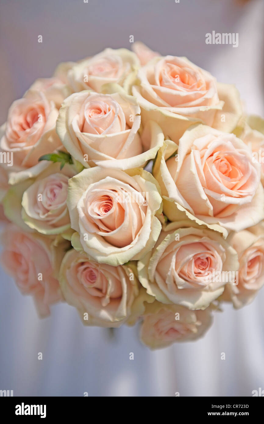 Germany, Bride holding rose bouquet Stock Photo - Alamy