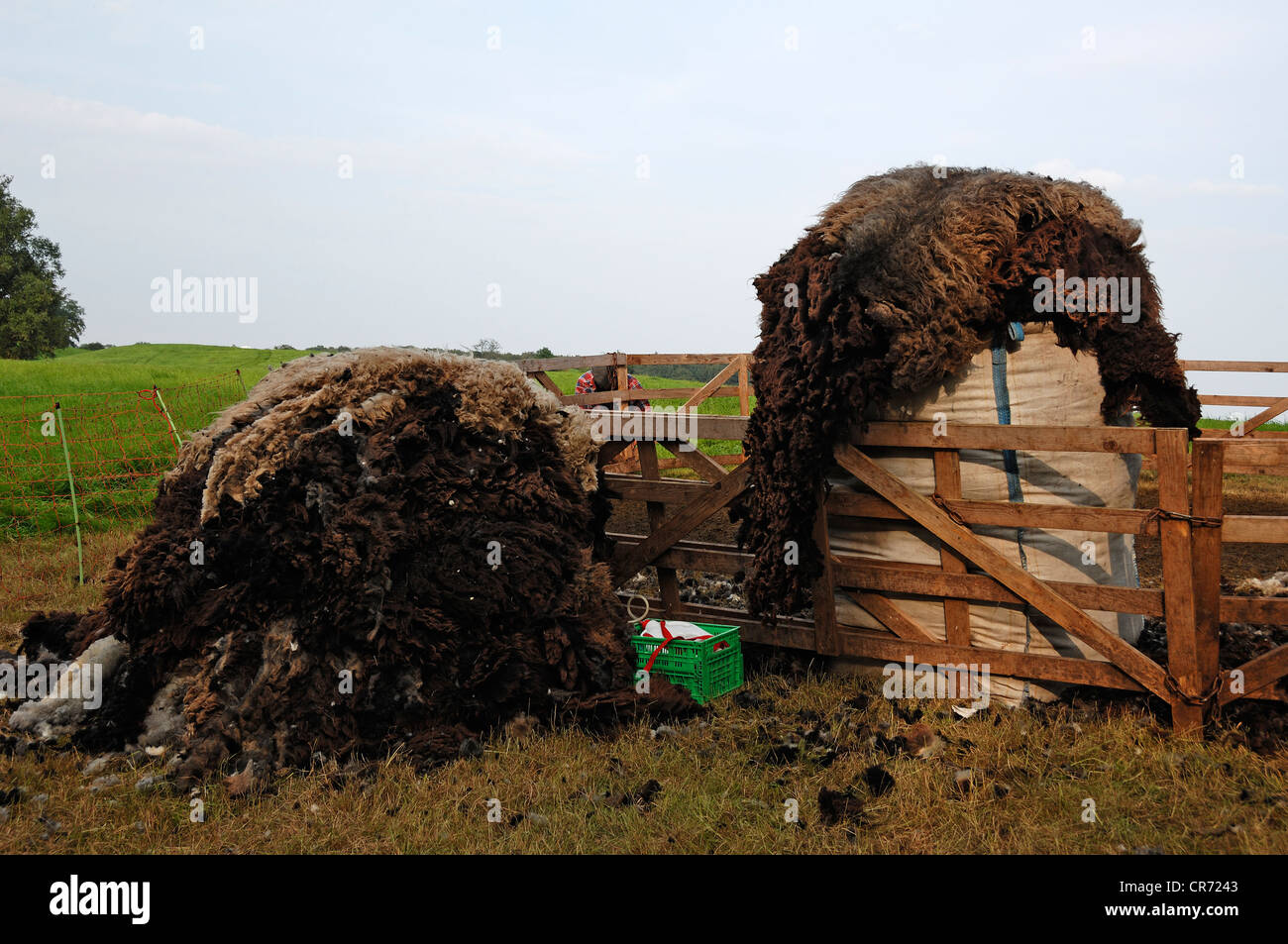 Roegnitz hi-res stock photography and images - Alamy