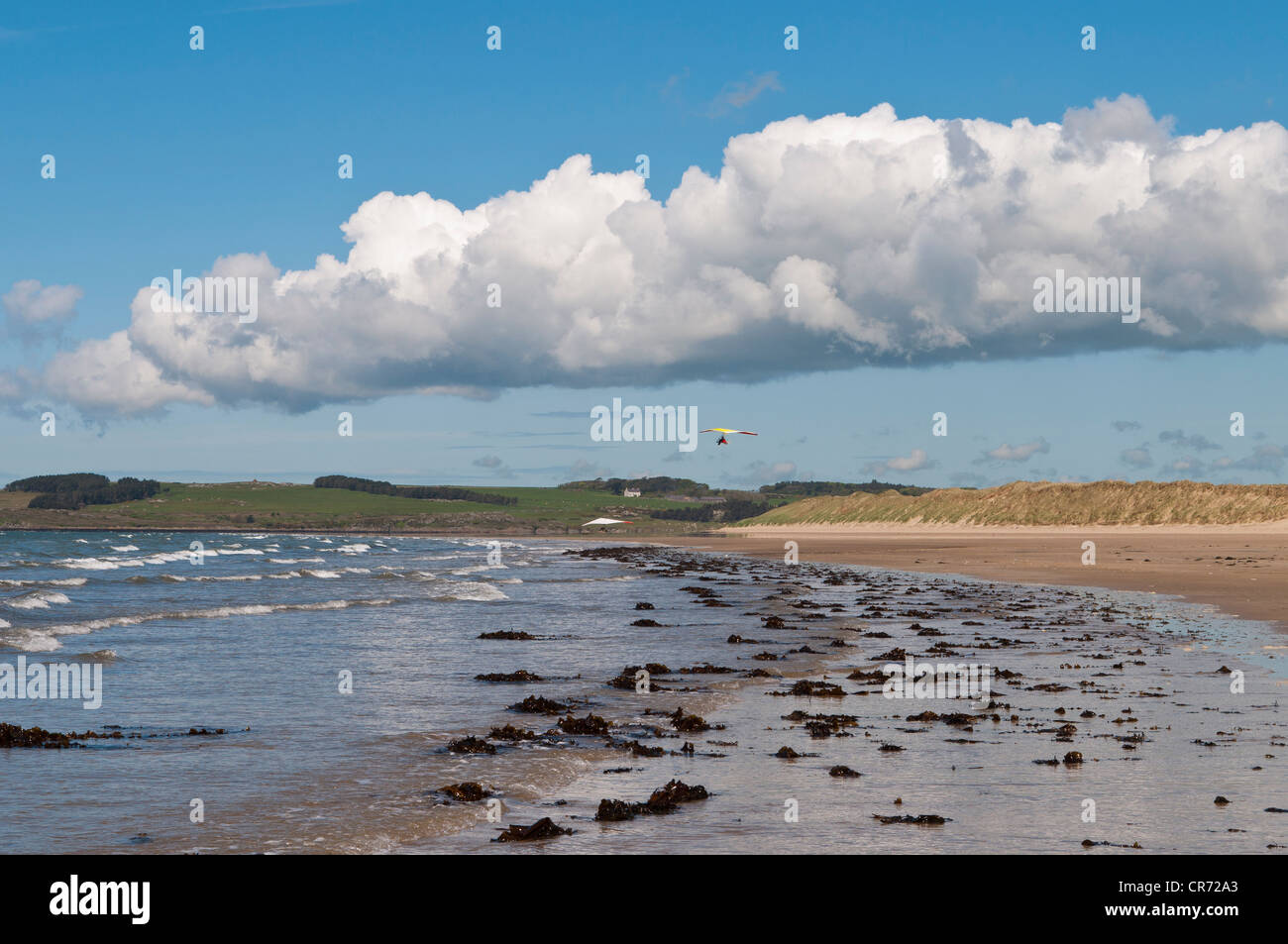 Traeth penrhos beach hi-res stock photography and images - Alamy