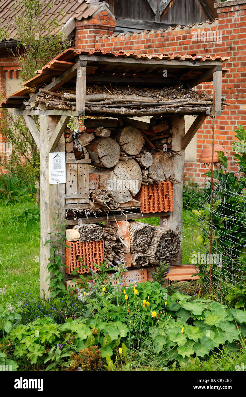 Bug House High Resolution Stock Photography and Images - Alamy