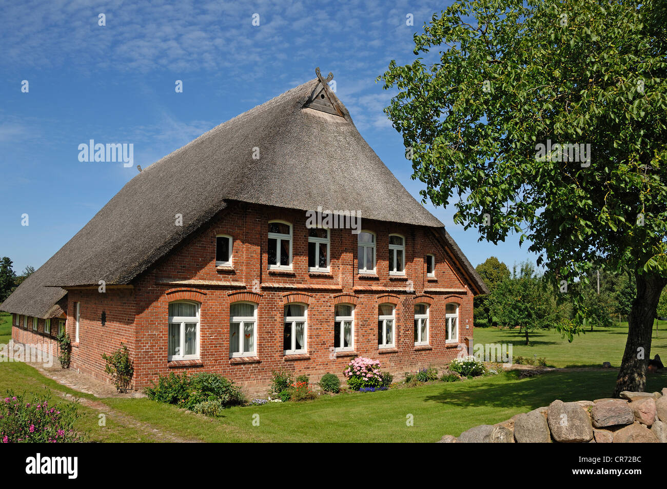 Renovated, old thatched farmhouse, Warnekow, Mecklenburg-Western ...