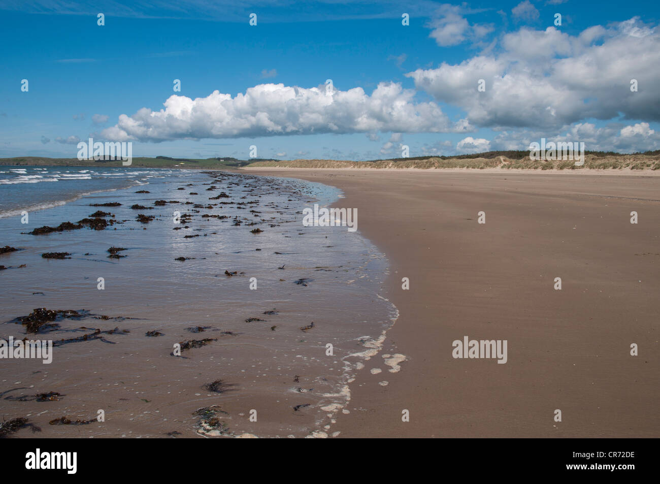 Traeth Penrhos beach Llanddwyn Island Anglesey Stock Photo - Alamy