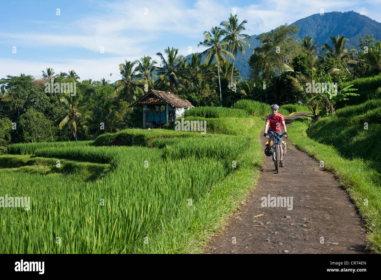 Cycling Through Grass High Resolution Stock Photography and Images - Alamy