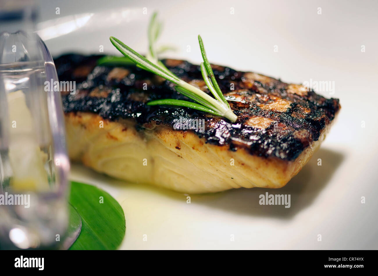 fillet of fish which has been char grilled with rosemary in gourmet ...