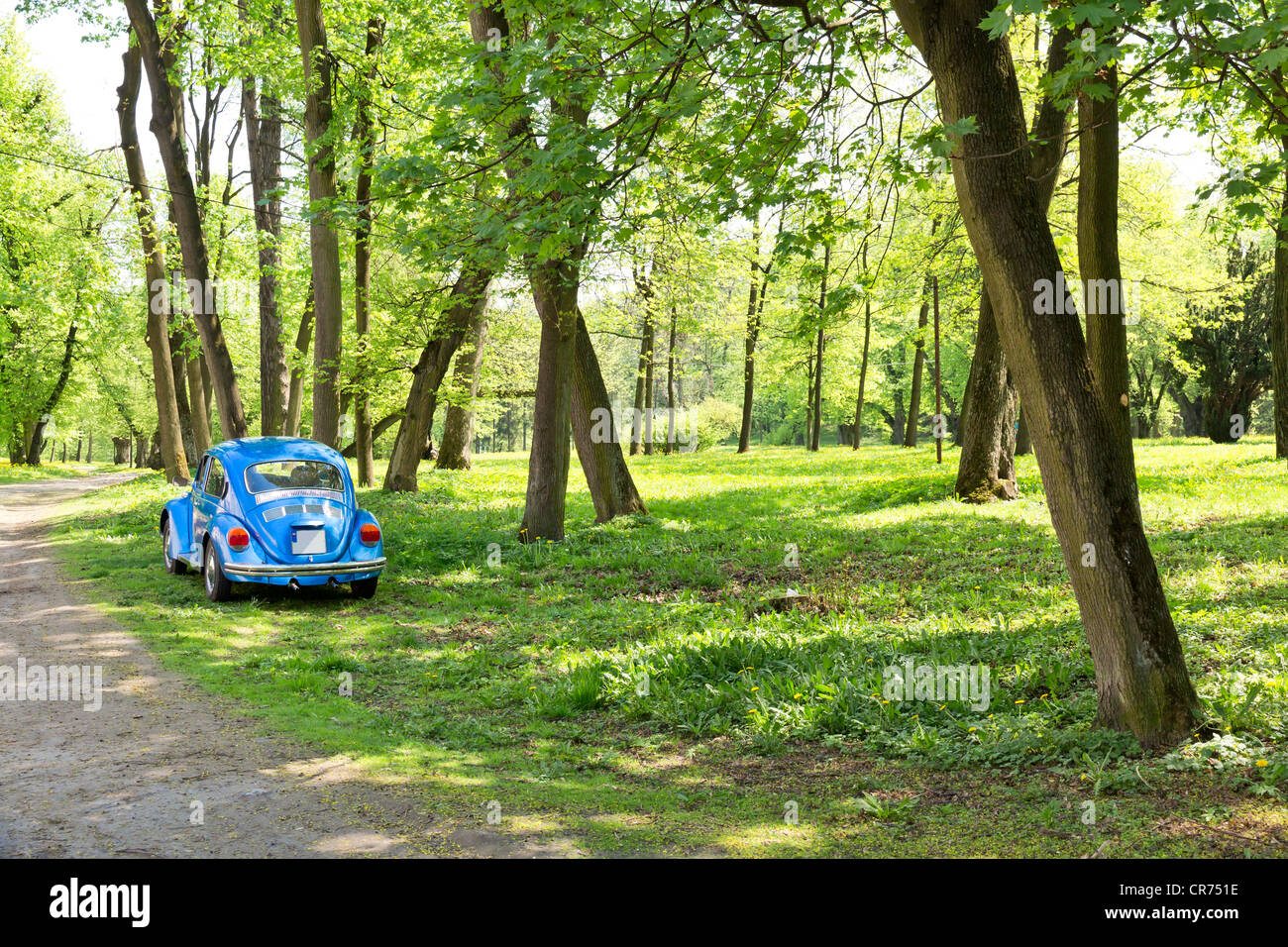 Tree and car park hi-res stock photography and images - Alamy