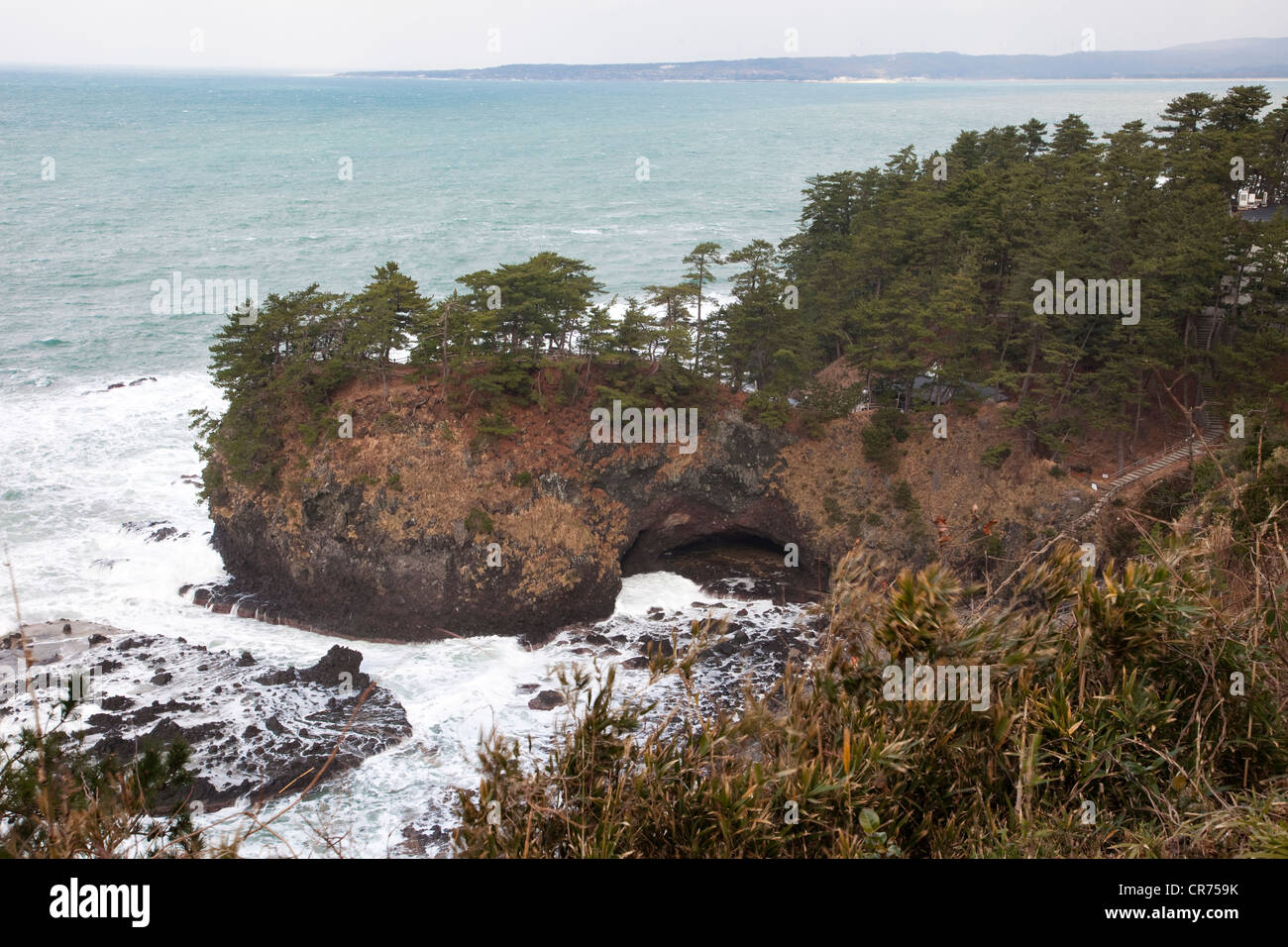 Japan tree rocks hi-res stock photography and images - Alamy