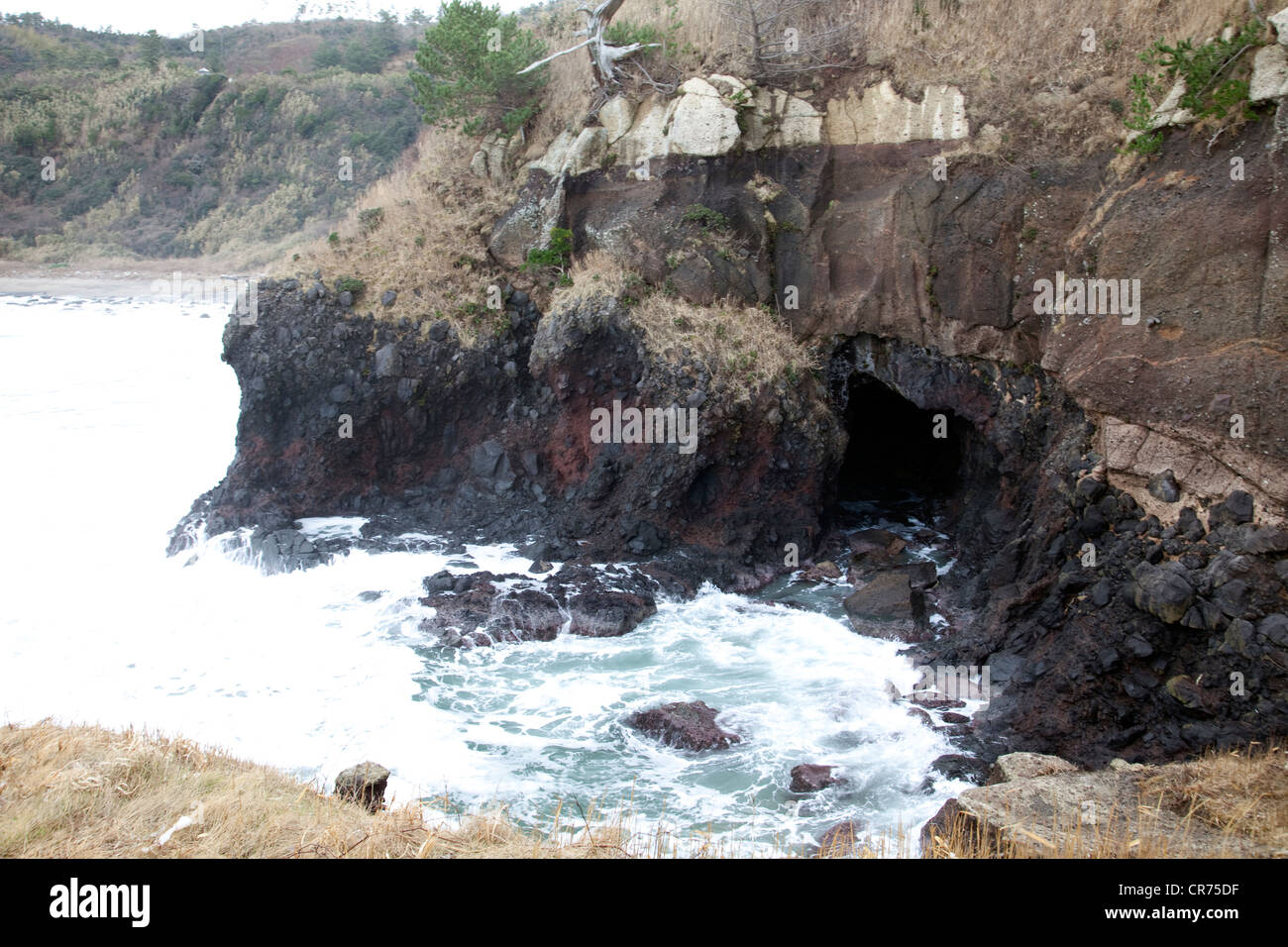 Japan tree rocks hi-res stock photography and images - Alamy