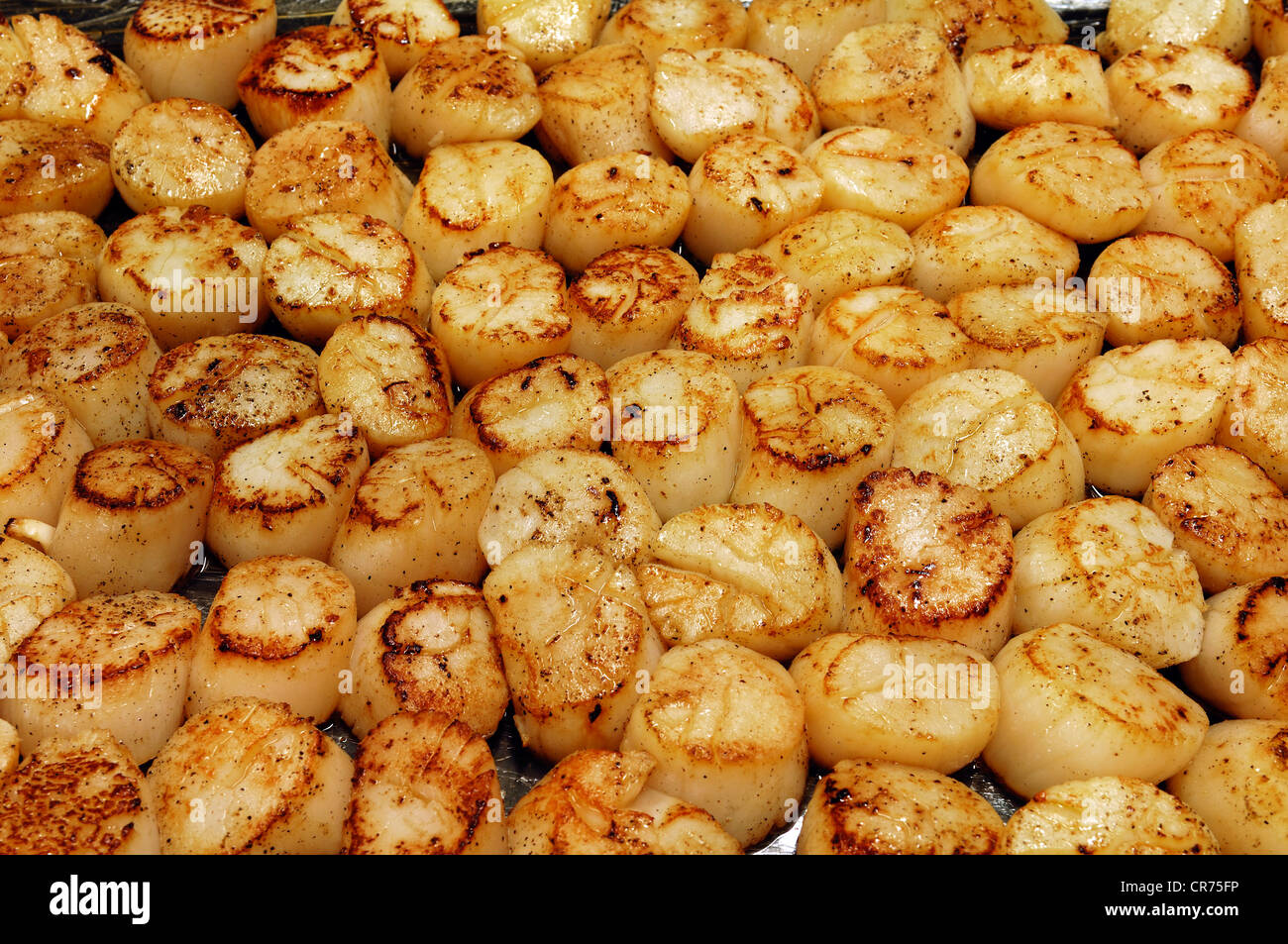 Short fill hi-res stock photography and images - Alamy