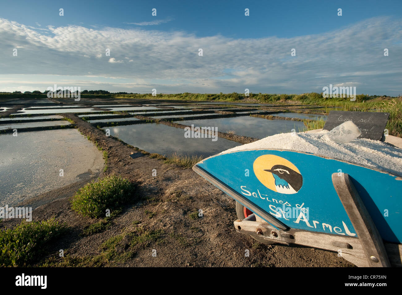 Lasne High Resolution Stock Photography and Images - Alamy