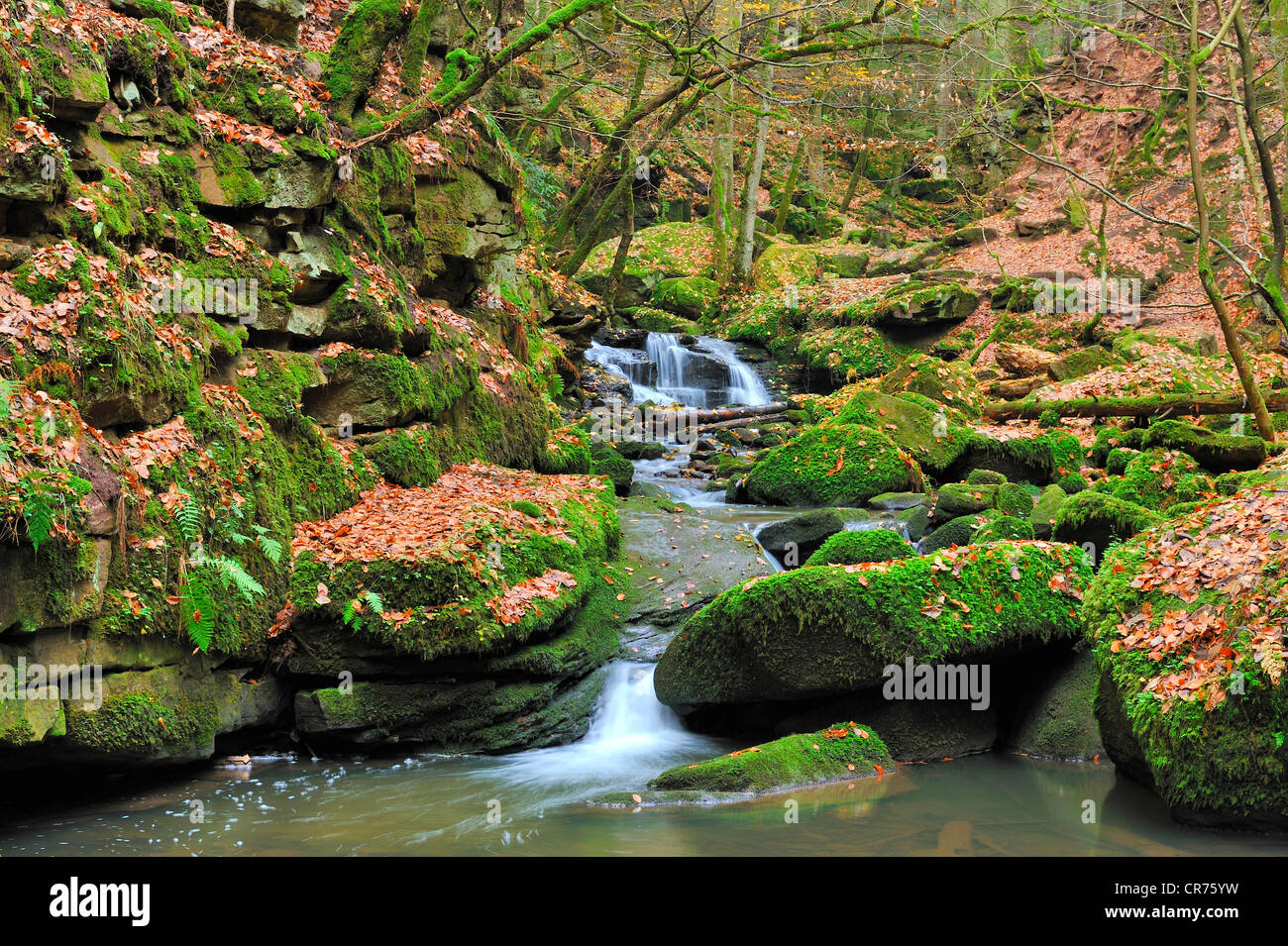 Monbachtal valley hi-res stock photography and images - Alamy