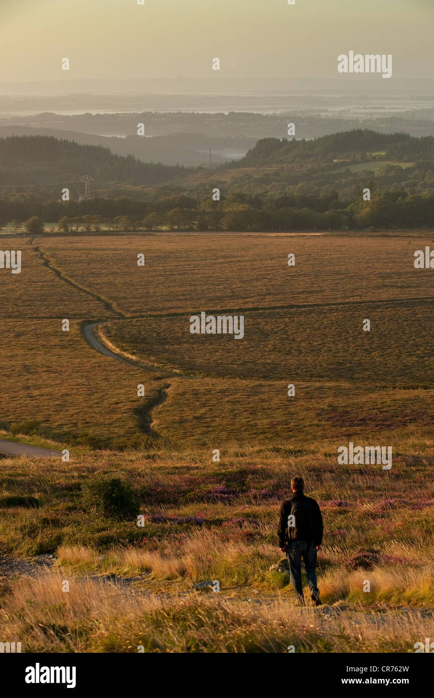 France, Finistere, Saint Rivoal, Monts d'Arree, hiker on the mountain ...