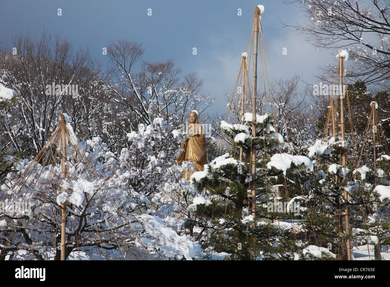 Yukitsuri in Murasakishikibu park Stock Photo - Alamy