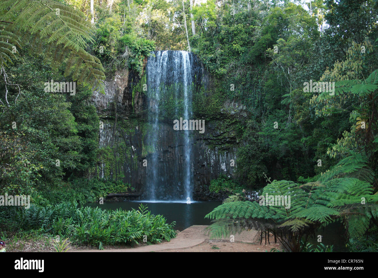 Beautiful waterfall known as Millaa Millaa falls Stock Photo - Alamy