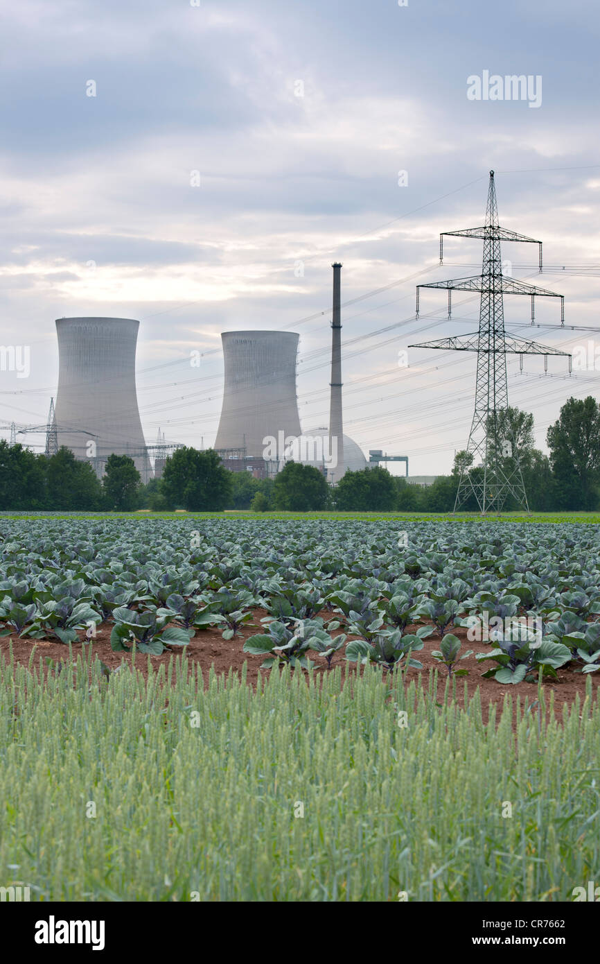 Grafenrheinfeld nuclear power plant, red cabbage patch at front, Lower ...