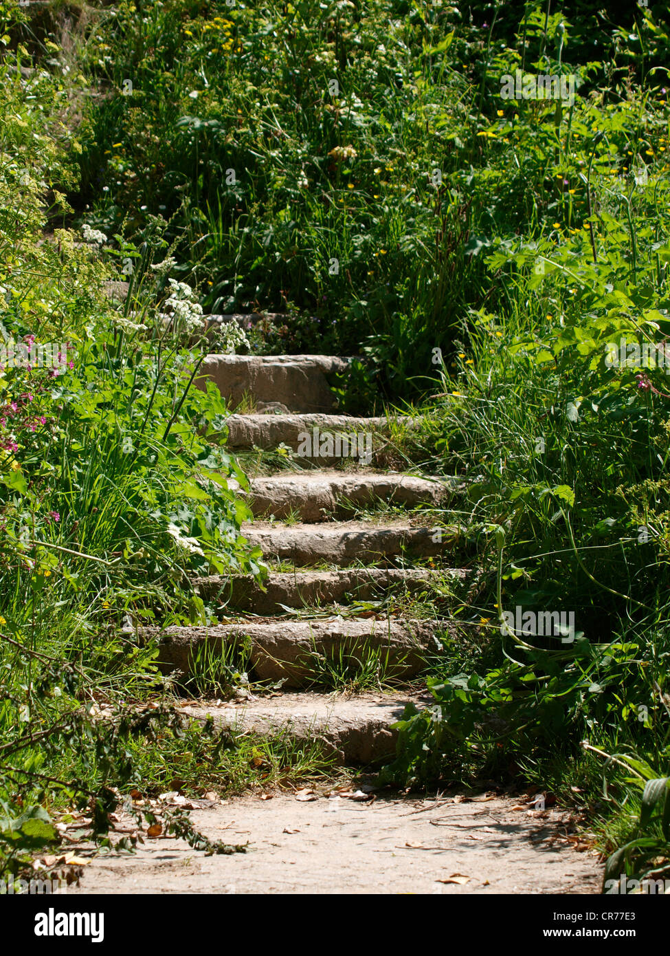 Outside footpath hi-res stock photography and images - Alamy