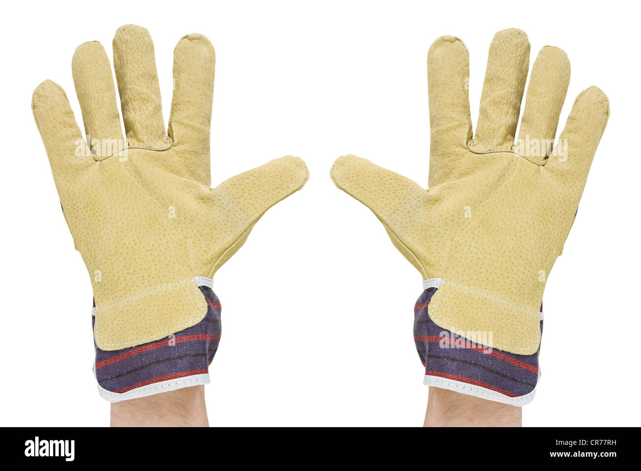 two hands with work gloves. isolated on a white background Stock Photo ...