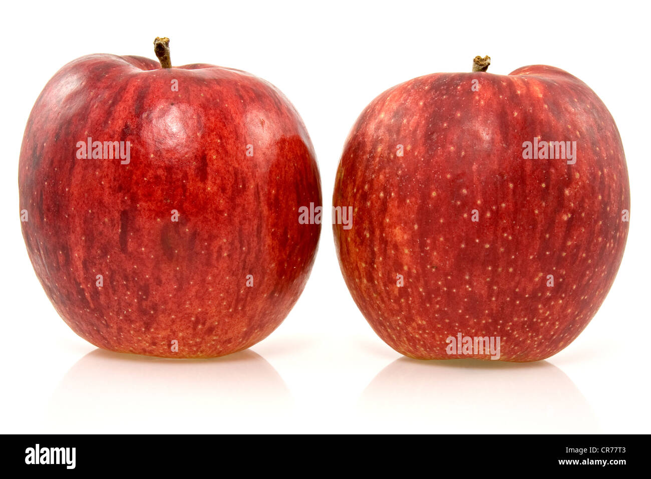two fresh rip apples on a white background Stock Photo - Alamy