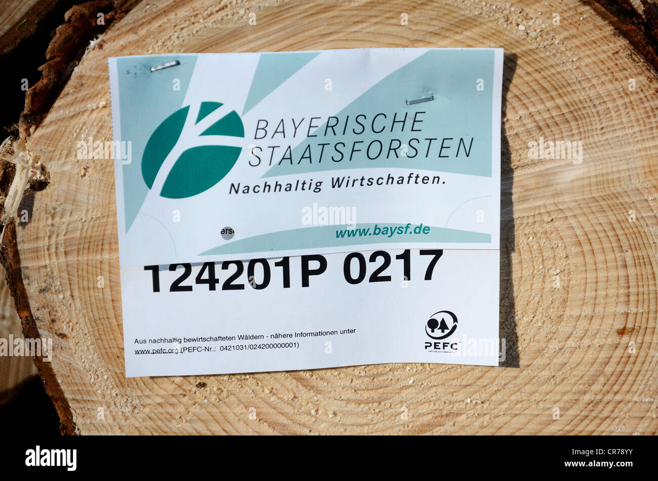 Freshly cut trunk of a spruce, Bavarian State Forest, near Raubling ...