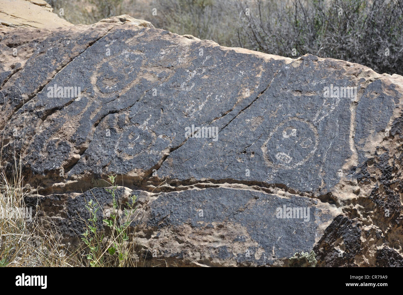 Petroglyphs at Newspaper Rock, Petrified Forest National Park, Arizona ...