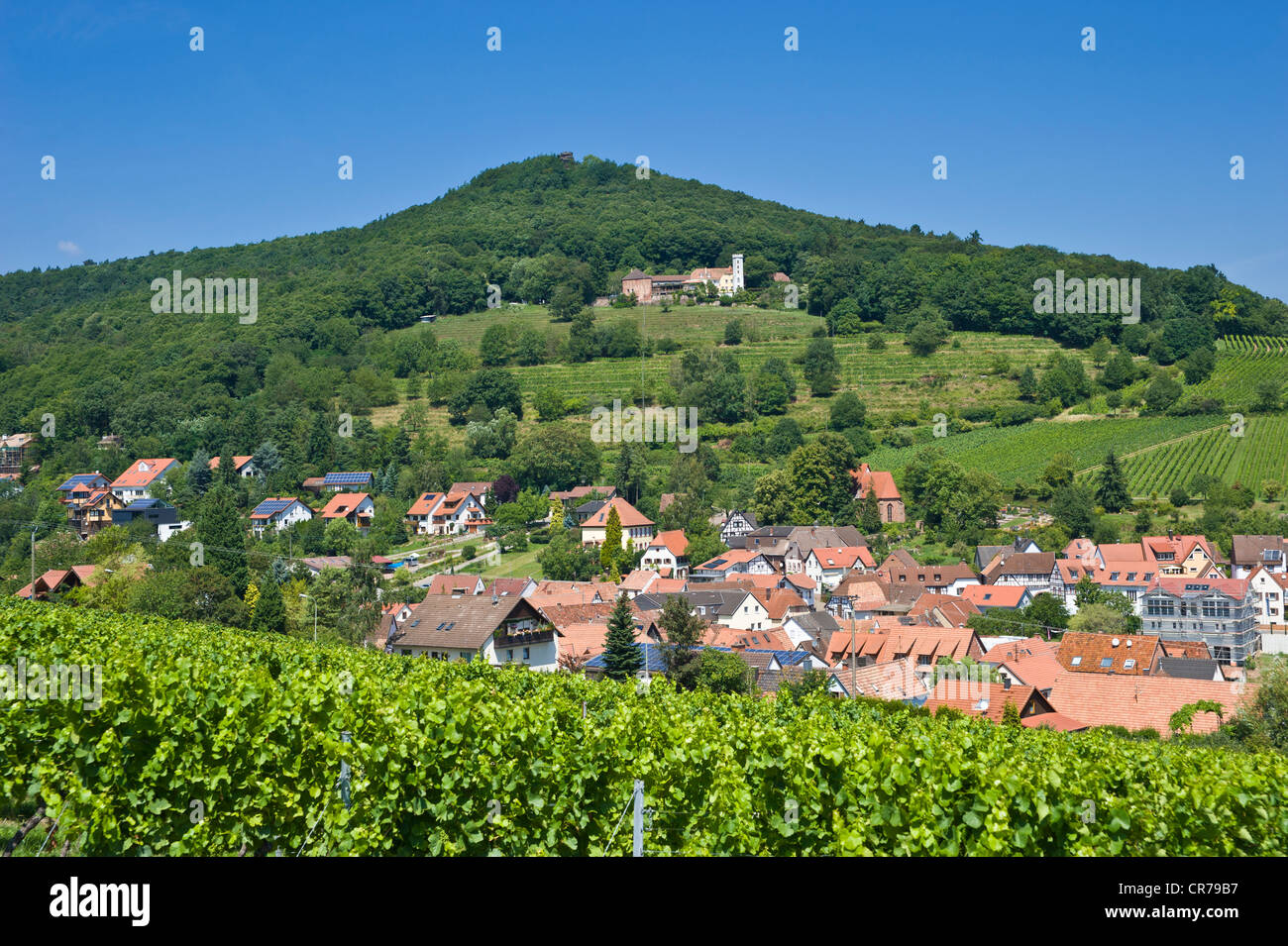 Townscape with Slevogthof Neukastel manor, Leinsweiler, German Wine ...