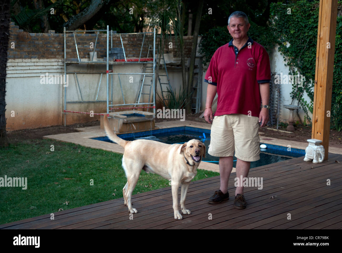Labrador dog with owner, Johannesburg, South Africa Stock Photo - Alamy