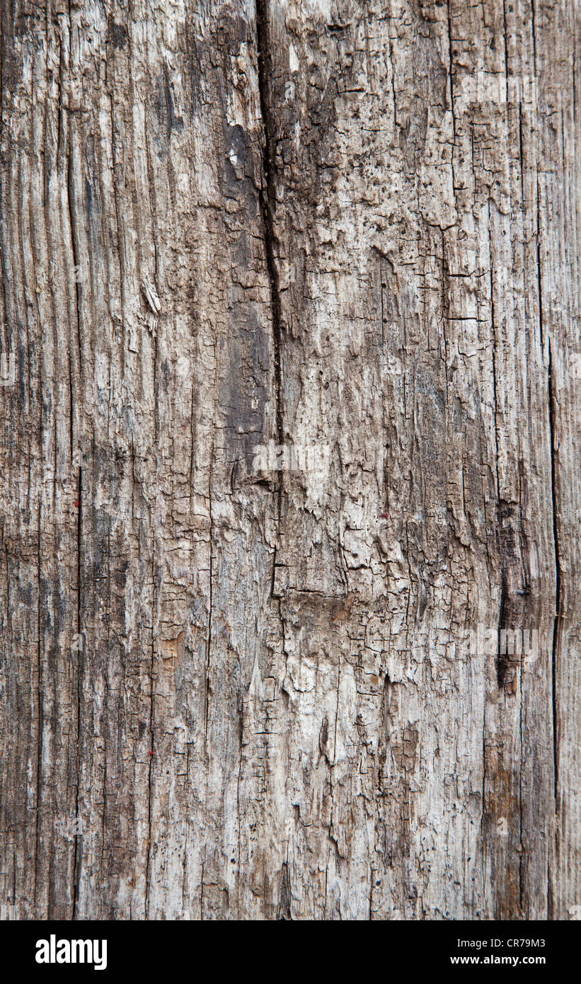 Weathered old wood. Background texture Stock Photo - Alamy