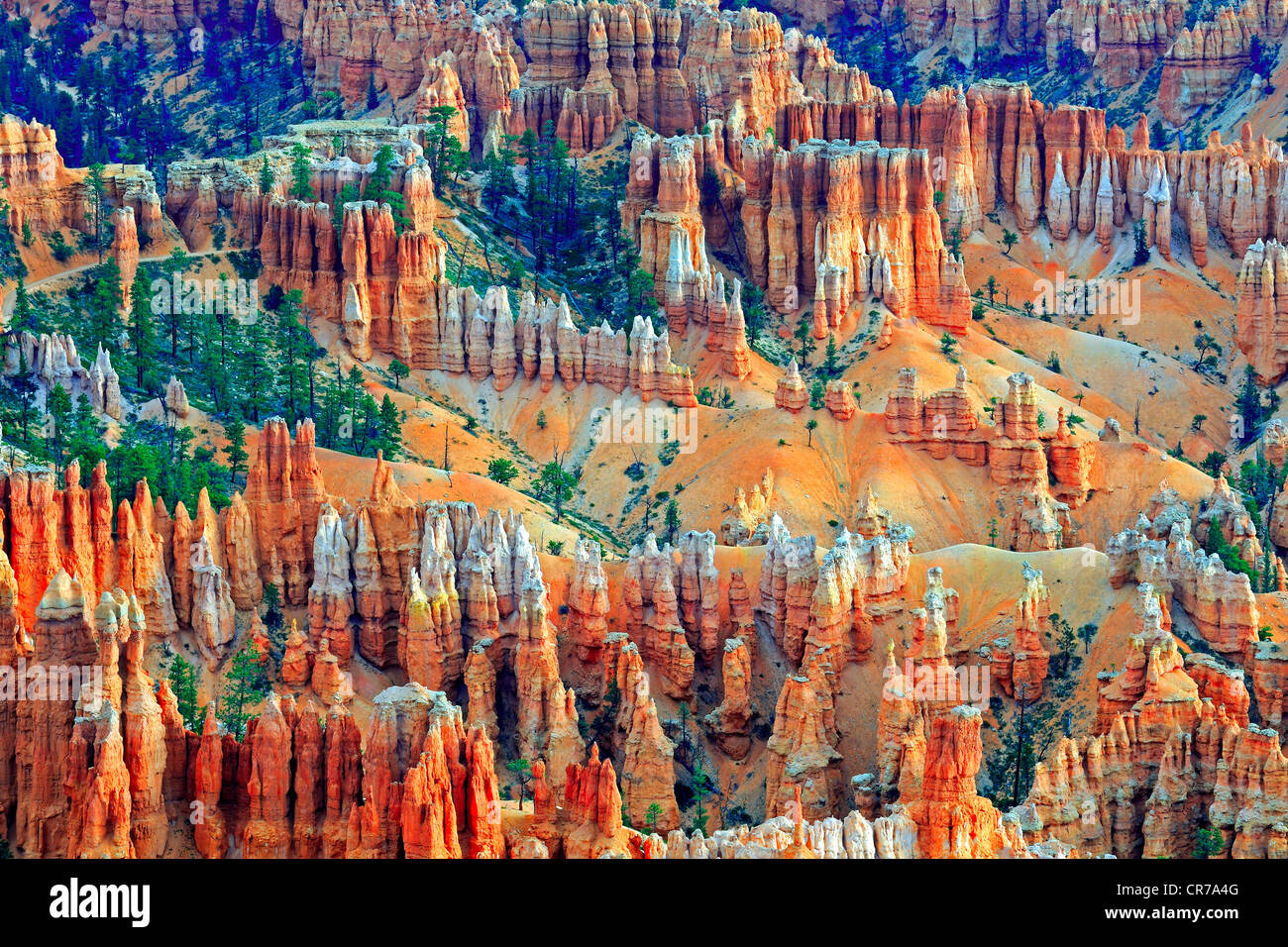 Rock formations and hoodoos, Bryce Canyon in the morning light, Bryce ...