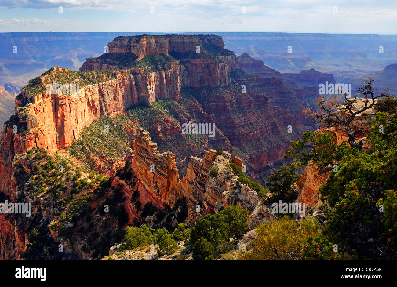 Grand Canyon North Rim at dusk, Cape Royal, Arizona, USA Stock Photo ...