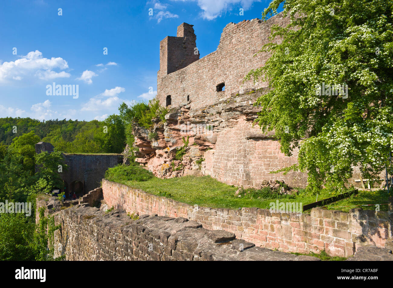 Madenburg castle ruins, Eschbach, German Wine Route, Suedliche ...