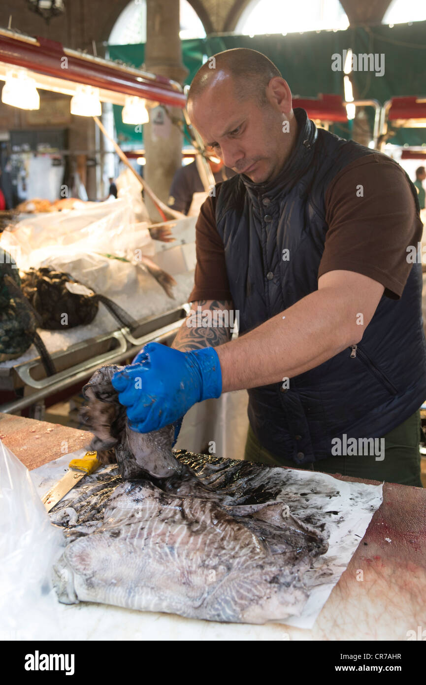 A fish monger cleaning a Cuttle fish at a fish market, Venice Italy ...
