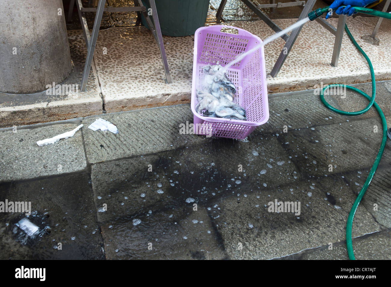 Cuttle stone hi-res stock photography and images - Alamy