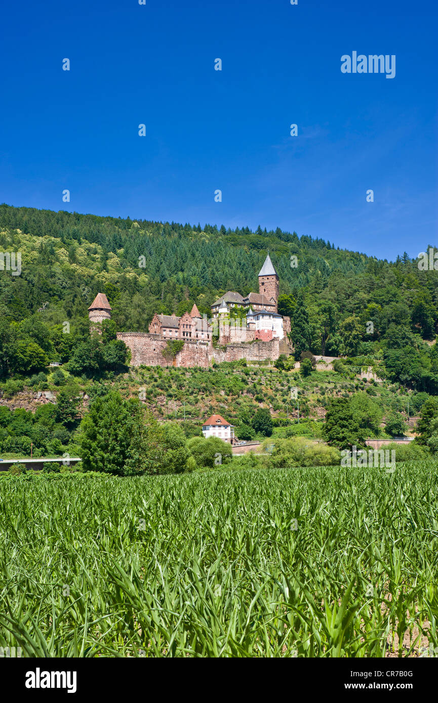 Burg Zwingenberg castle, Zwingenberg, Odenwald, Baden-Wuerttemberg ...