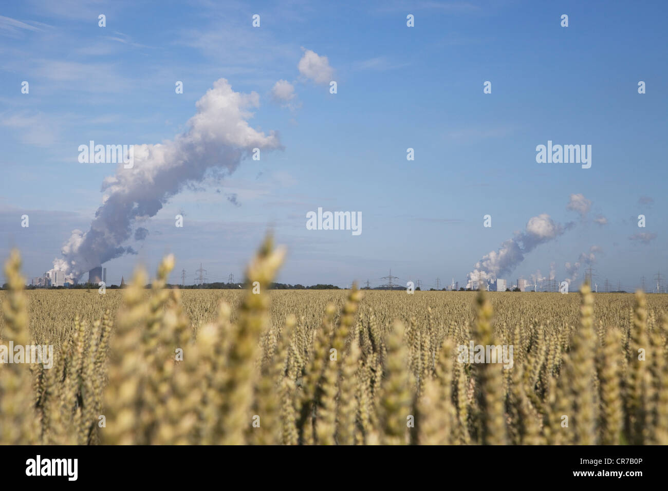 Coal field hi-res stock photography and images - Alamy