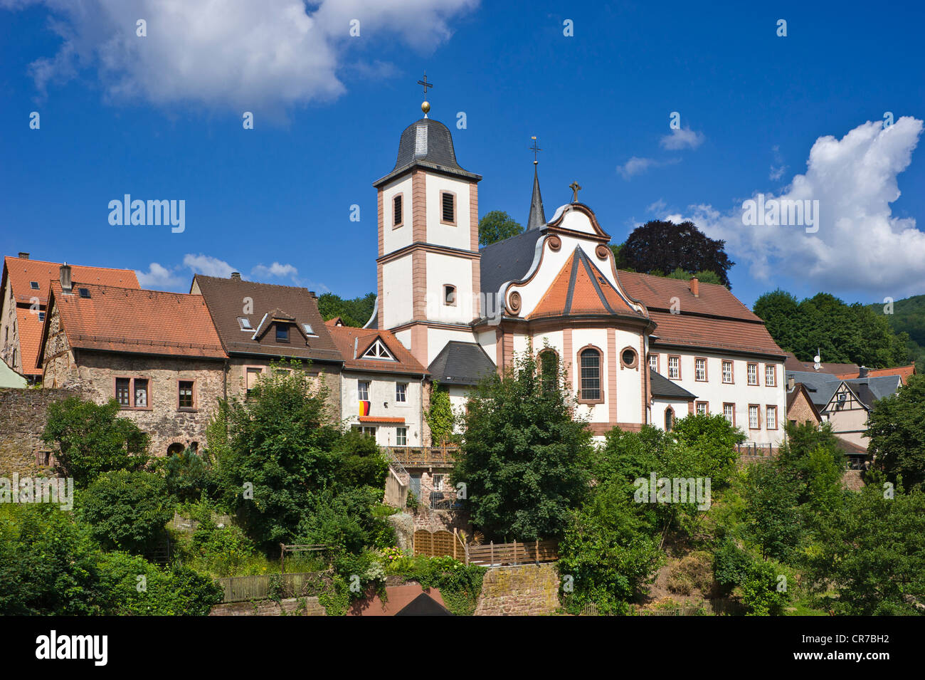 Town view with the Catholic Herz-Jesu-Kirche church, Neckarsteinach ...
