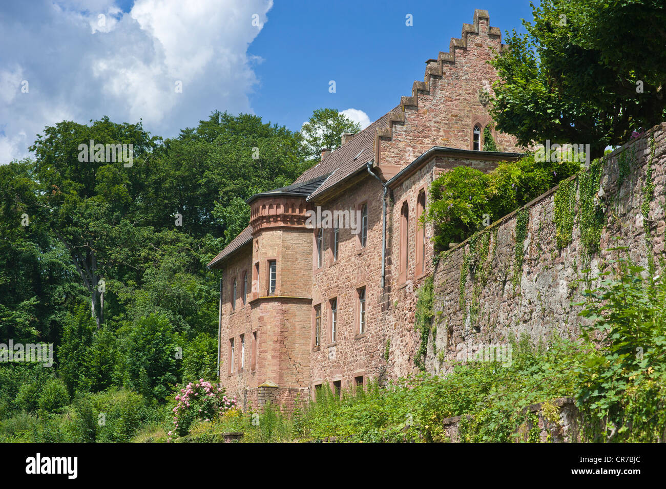 Castles of neckarsteinach hi-res stock photography and images - Alamy