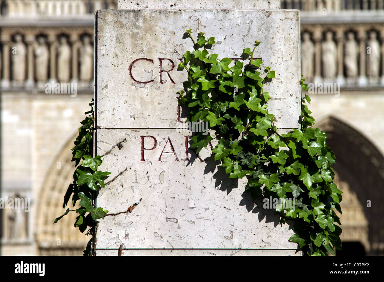 Crypt marker with ivy in front of Notre Dame Cathedral, Paris Stock ...
