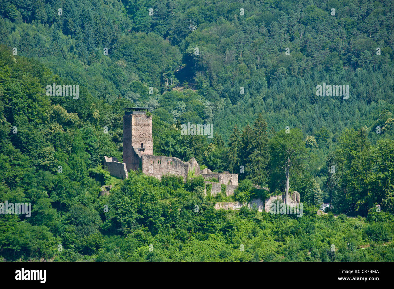 Hinterburg Castle, Neckarsteinach, Neckar Valley-Odenwald nature park ...