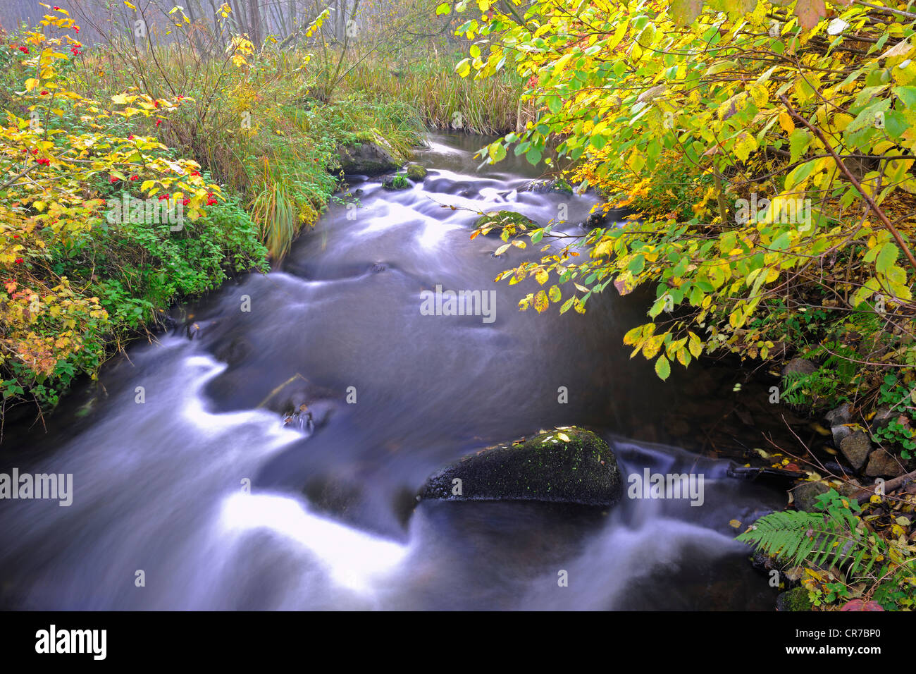 Buckow brandenburg germany hi-res stock photography and images - Alamy