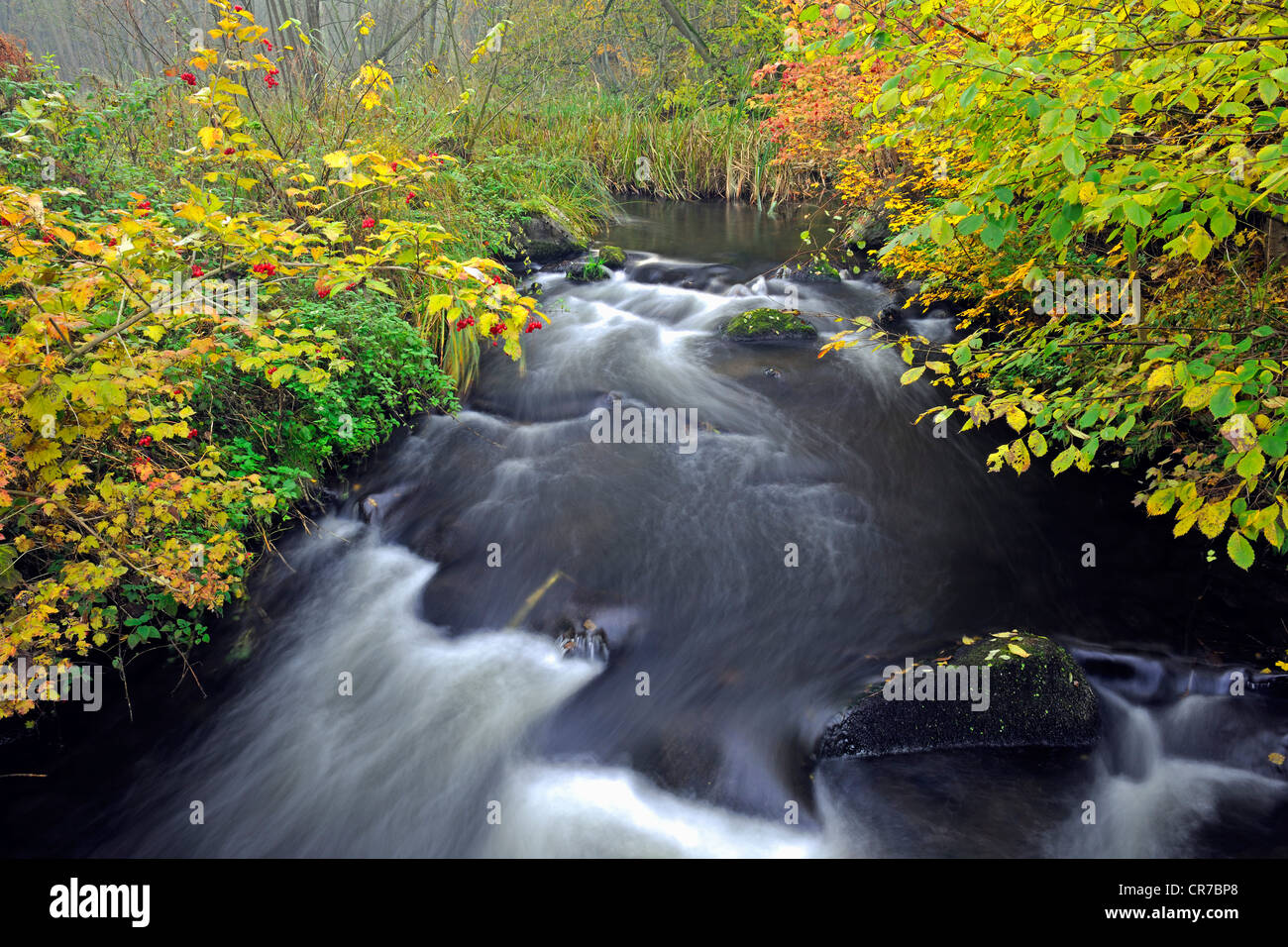Buckow brandenburg germany hi-res stock photography and images - Alamy