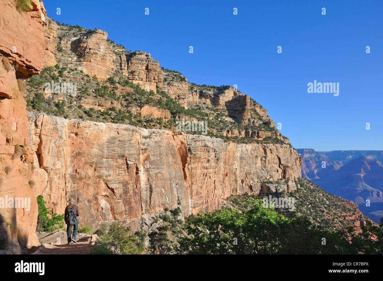 Bright Angel trail, Grand Canyon, Arizona, USA Stock Photo - Alamy