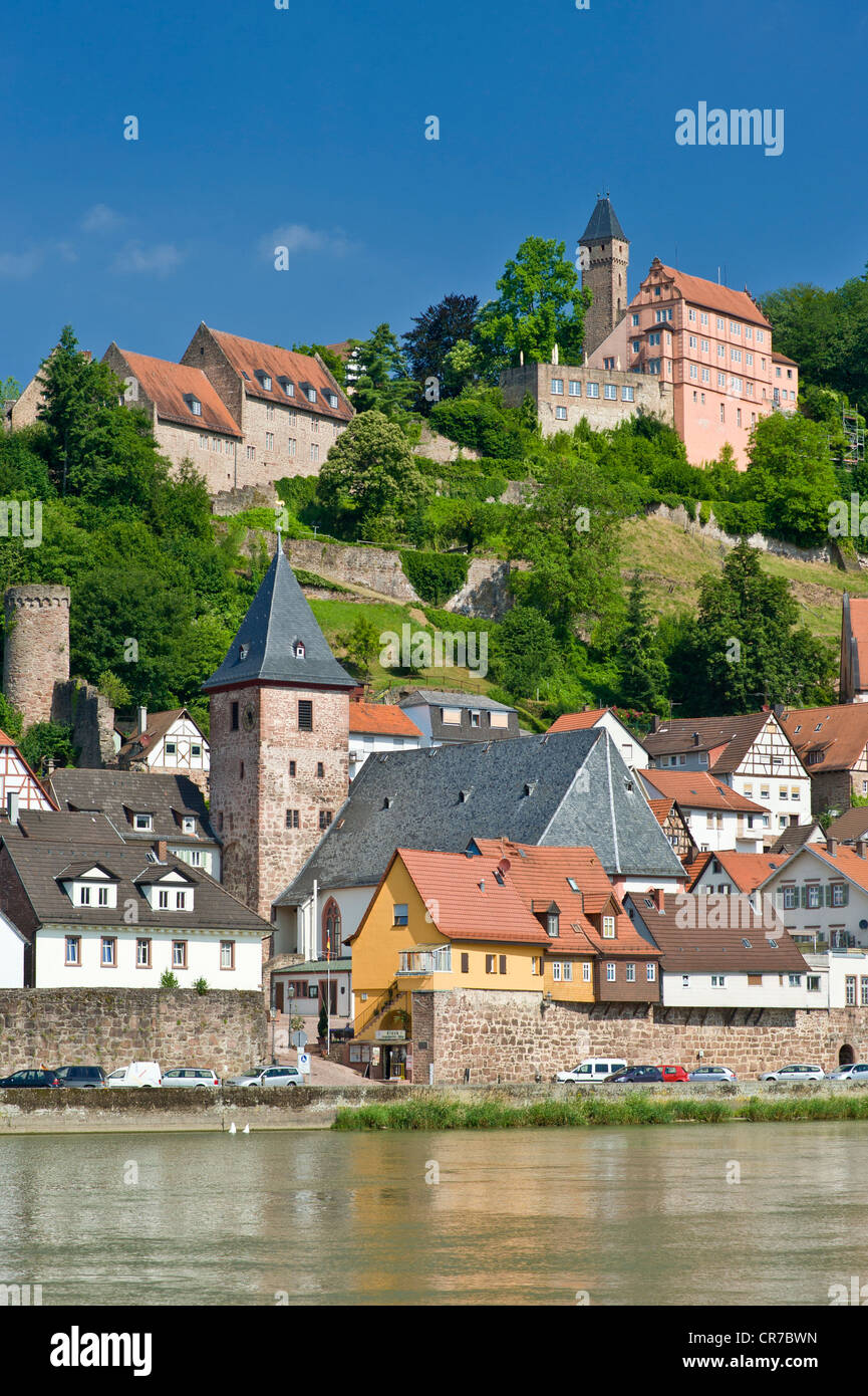 Cityscape with the Market Church, the Castle and the Neckar River ...