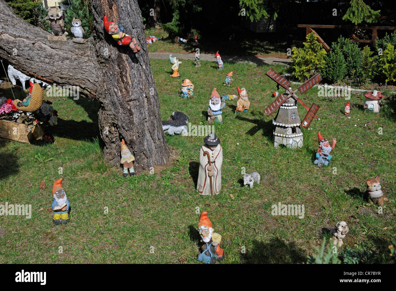 Garden gnomes and other figures in a German allotment, Germany, Europe ...