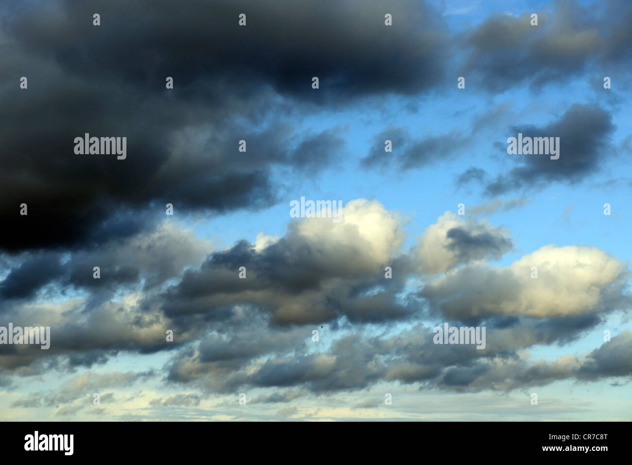 Cumulus clouds, rain clouds, thunderstorm clouds, approaching ...