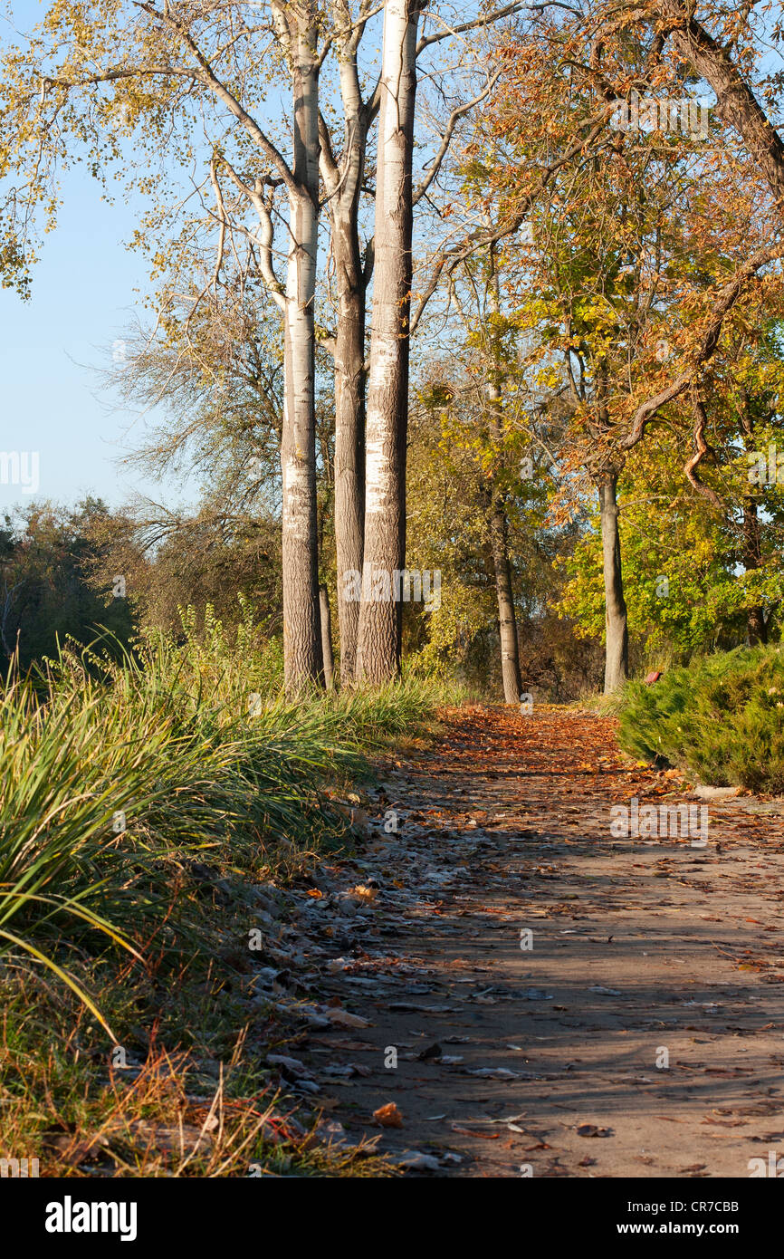 Cool autumn morning. Cold sunlight Stock Photo - Alamy